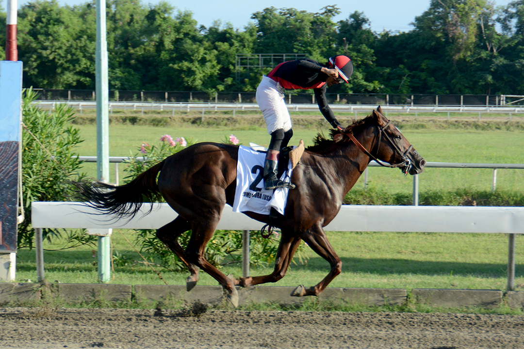Zumbadora gana el Clásico Felo Flores en el Quinto - Hipódromo V Centenario