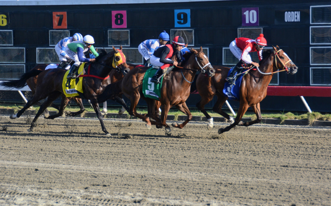 Zumbadora gana clásico y pool paga RD$90,668 en el Quinto - Hipódromo V ...