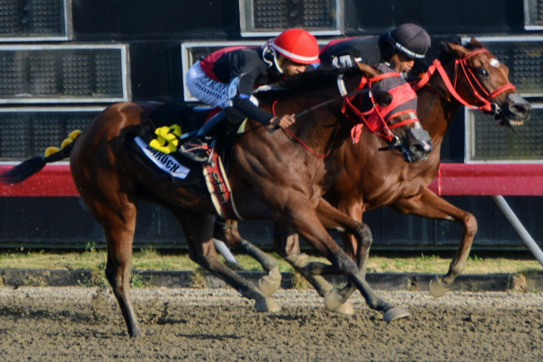 Baruch gana Clásico Asociación de Dueños y pool paga RD$54,052.00 ...