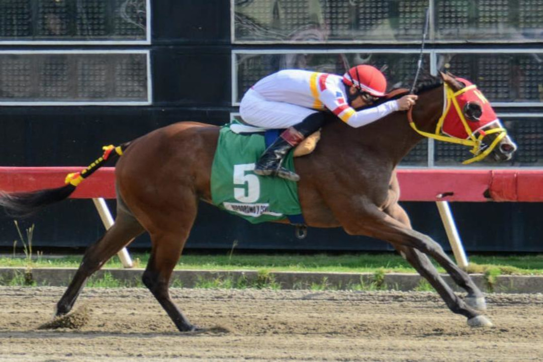 Celebrarán el sábado Clásico Día de las Secretarias en el Quinto ...