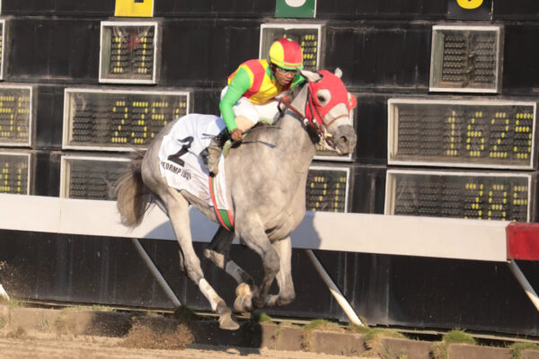 Storm P es favorito hoy en Clásico Navidad - Hipódromo V Centenario