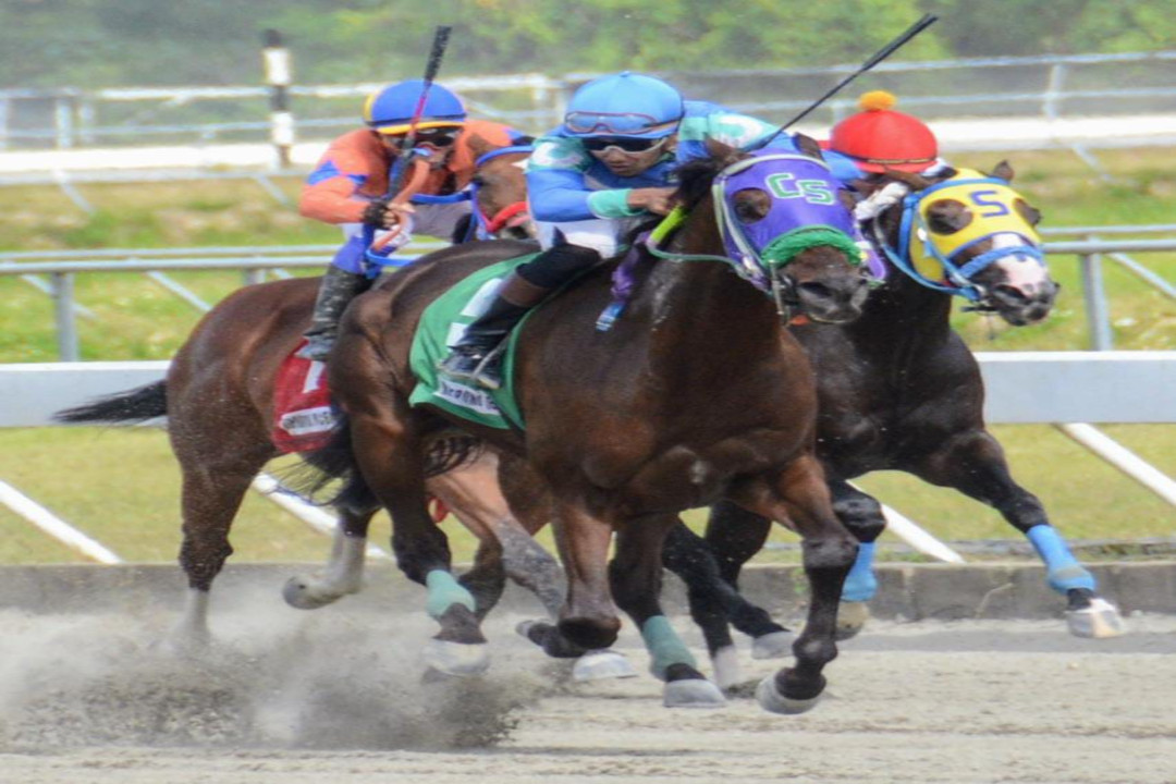 Dinastía Aguiar y Say When Sammy sorprenden en el Quinto - Hipódromo V ...