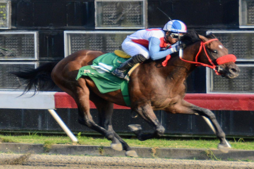 Caballo Luigino es la línea hoy en el Quinto Centenario - Hipódromo V ...