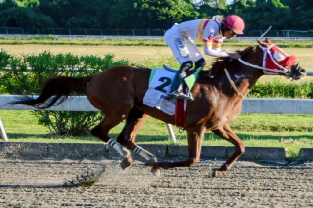 Team Captain es favorito para ganar hoy el Clásico Navidad - Hipódromo ...